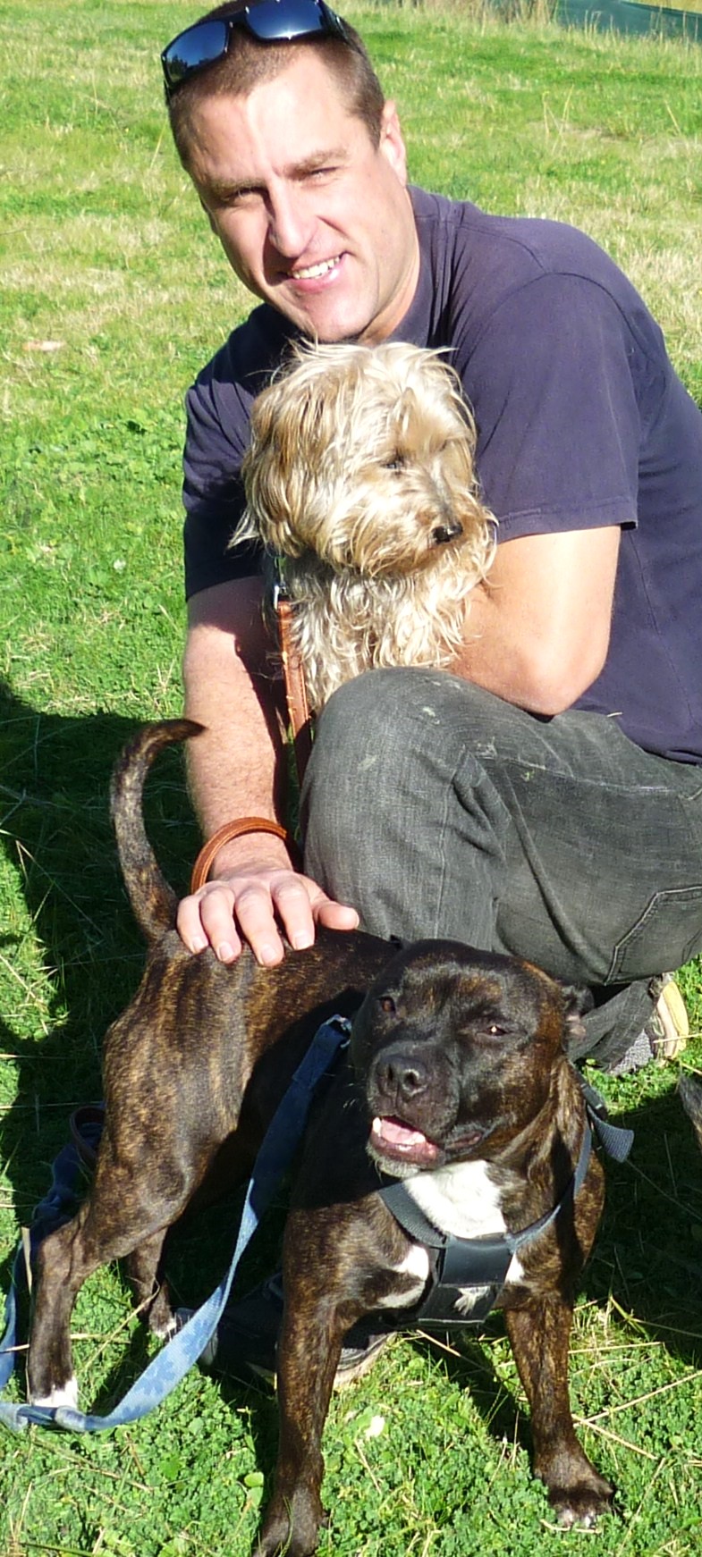 REST - Paws Inn Botany Bay