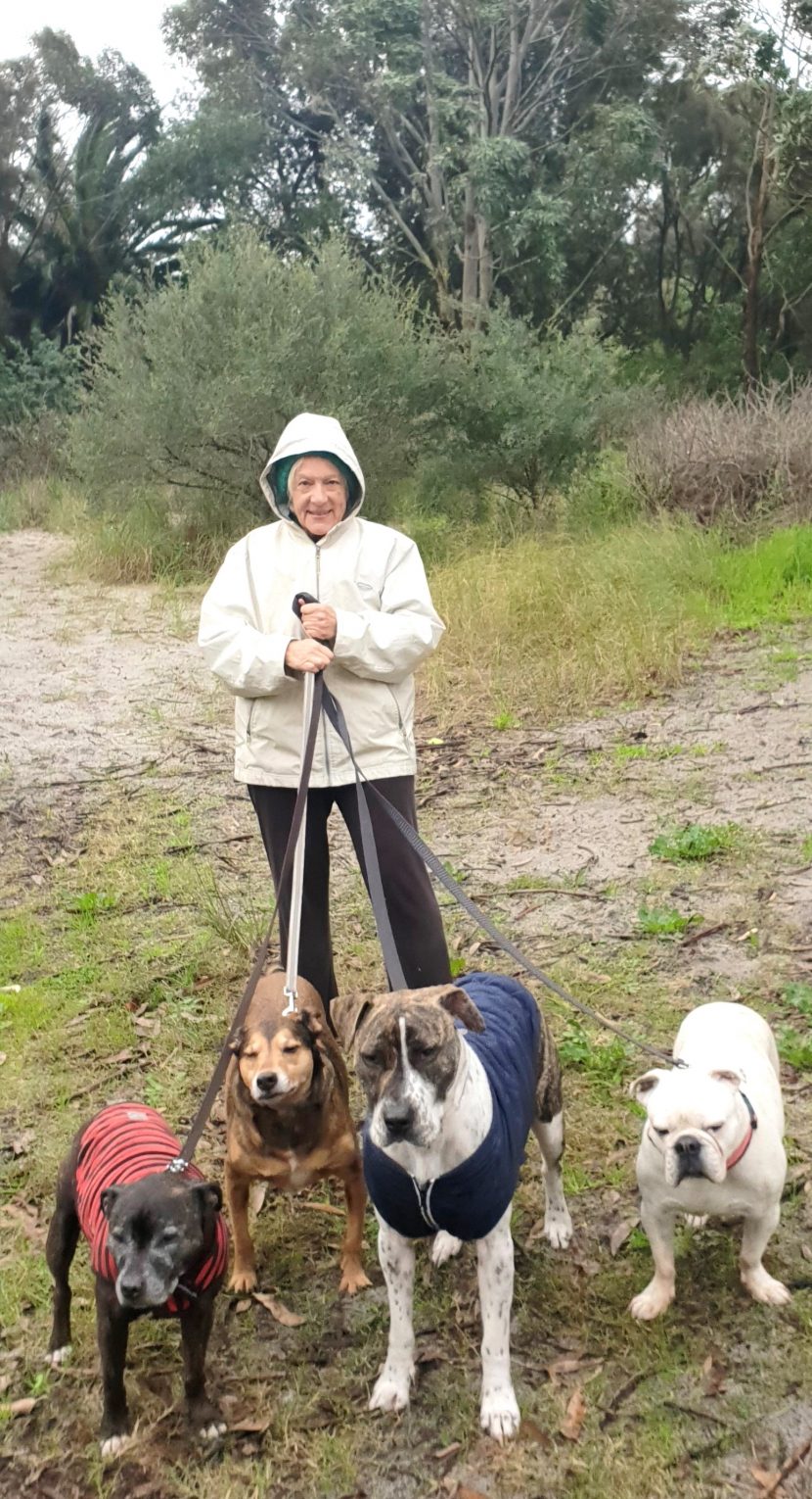 REST - Paws Inn Botany Bay